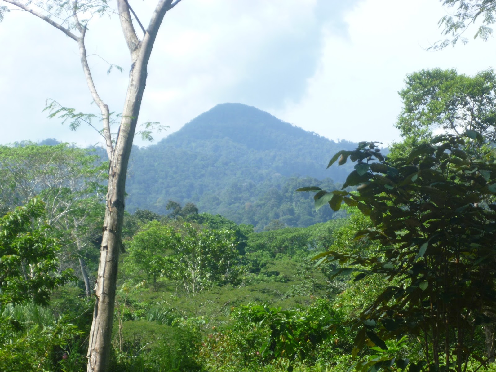ye’ kö́: Semblanza de Alí García Segura - Di’bö para la cultura bribri.